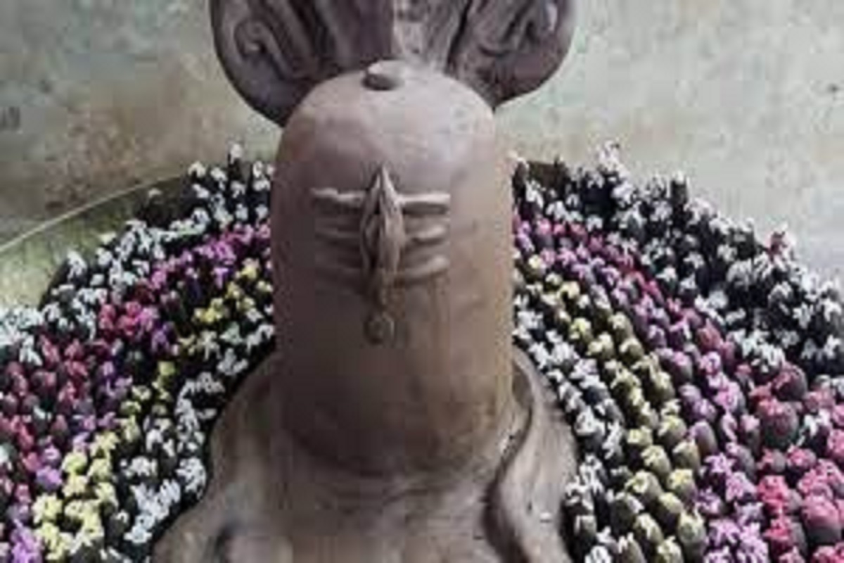 Install The Earthly Shivling In The House It Will Rain Immense Shivas ...