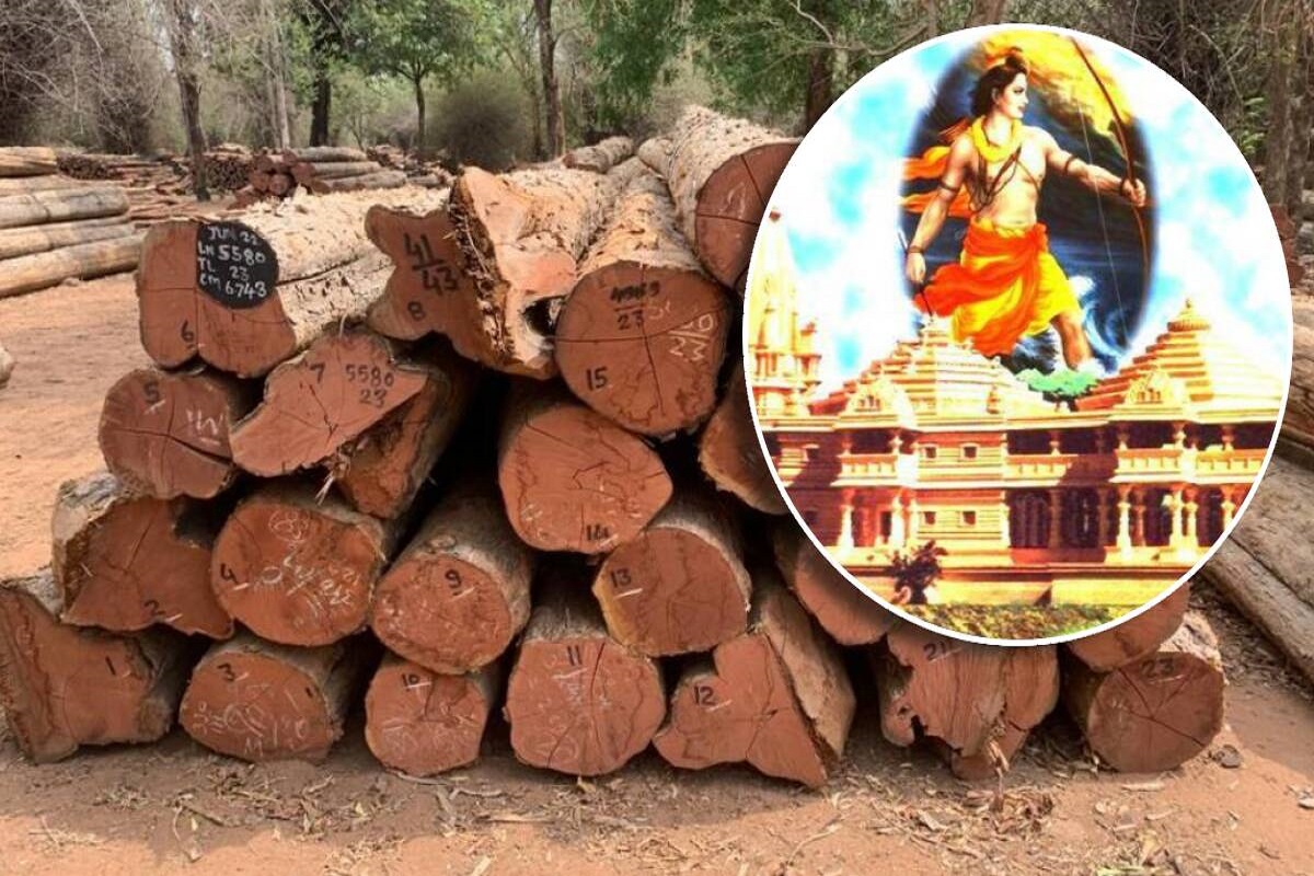 Maharashtra 1800 Cubic Meters Of Teak Wood Will Go From Chandrapur For ...