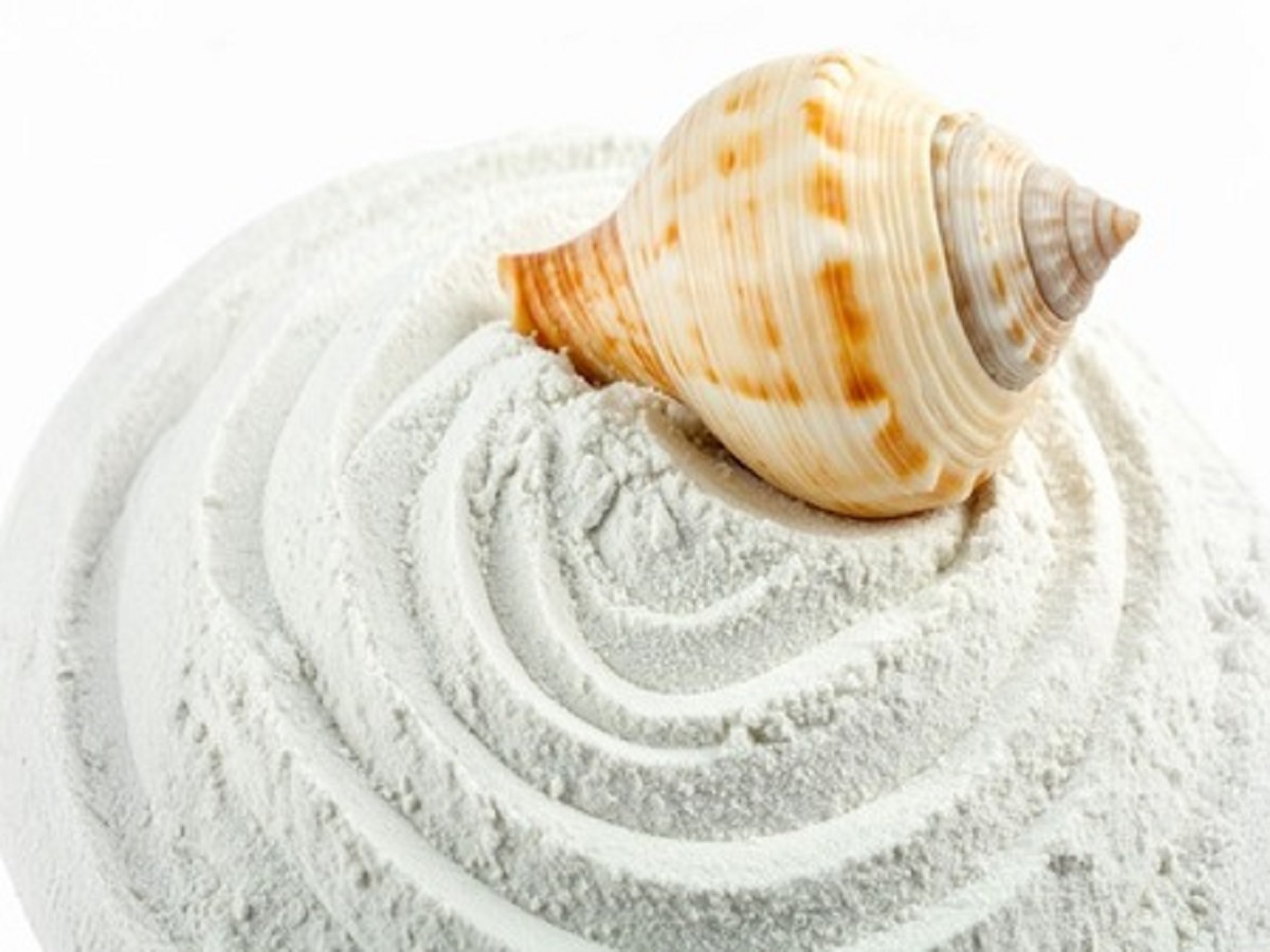 Conch Ash Conch Ash Is Rich In Calcium And Gives New Life To Bones And ...